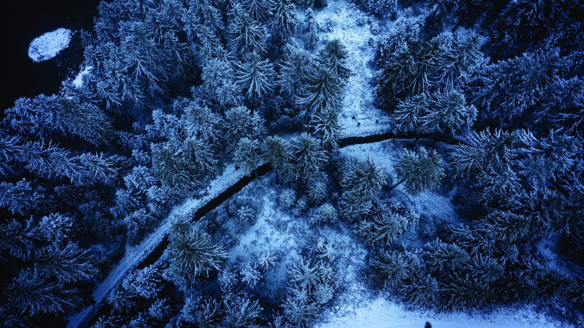 Frozen Path – 3840×2160 | Samsung The Frame TV Art